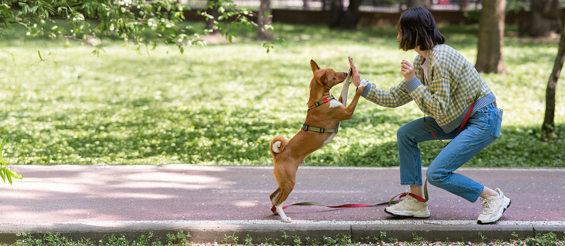 Dog Behavior Modification Houston | Freedom K9